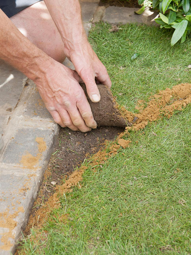 PORQUE SE SECA EL CESPED? – Vivero Flandes